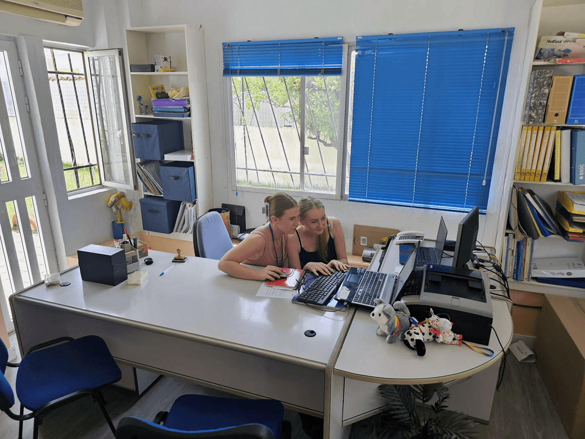 Students Complete International Work Experience In Spain - Carmel